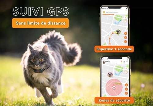 Weenect chat : Zoom sur le MEILLEUR GPS pour chat. Conseils et Avis